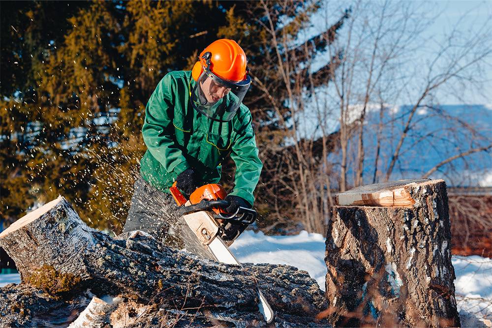 Operatore Forestale Base - Clusone